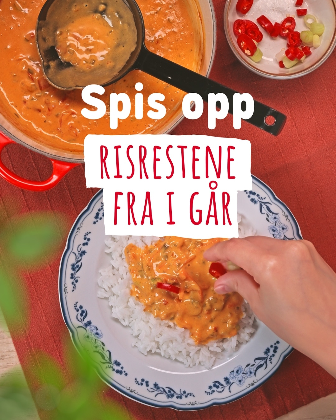 Thaisuppe red curry med risrester - TORO